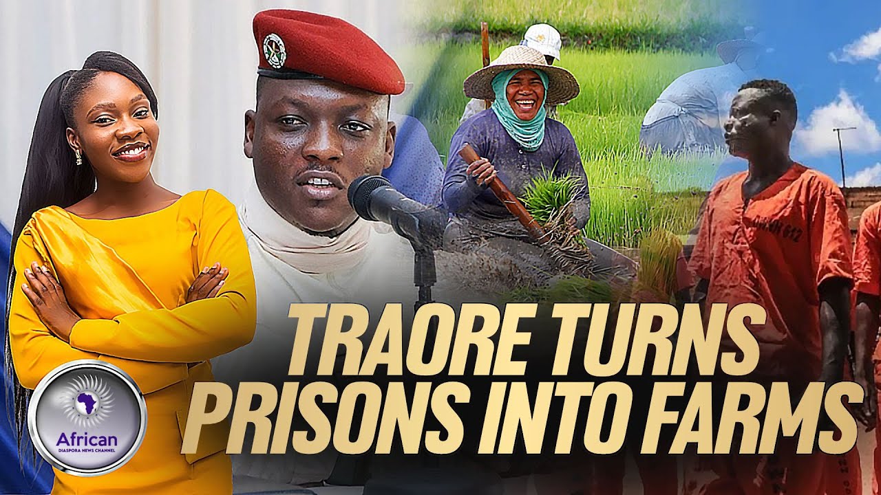 African diaspora news channel Archives - African Diaspora News Channel