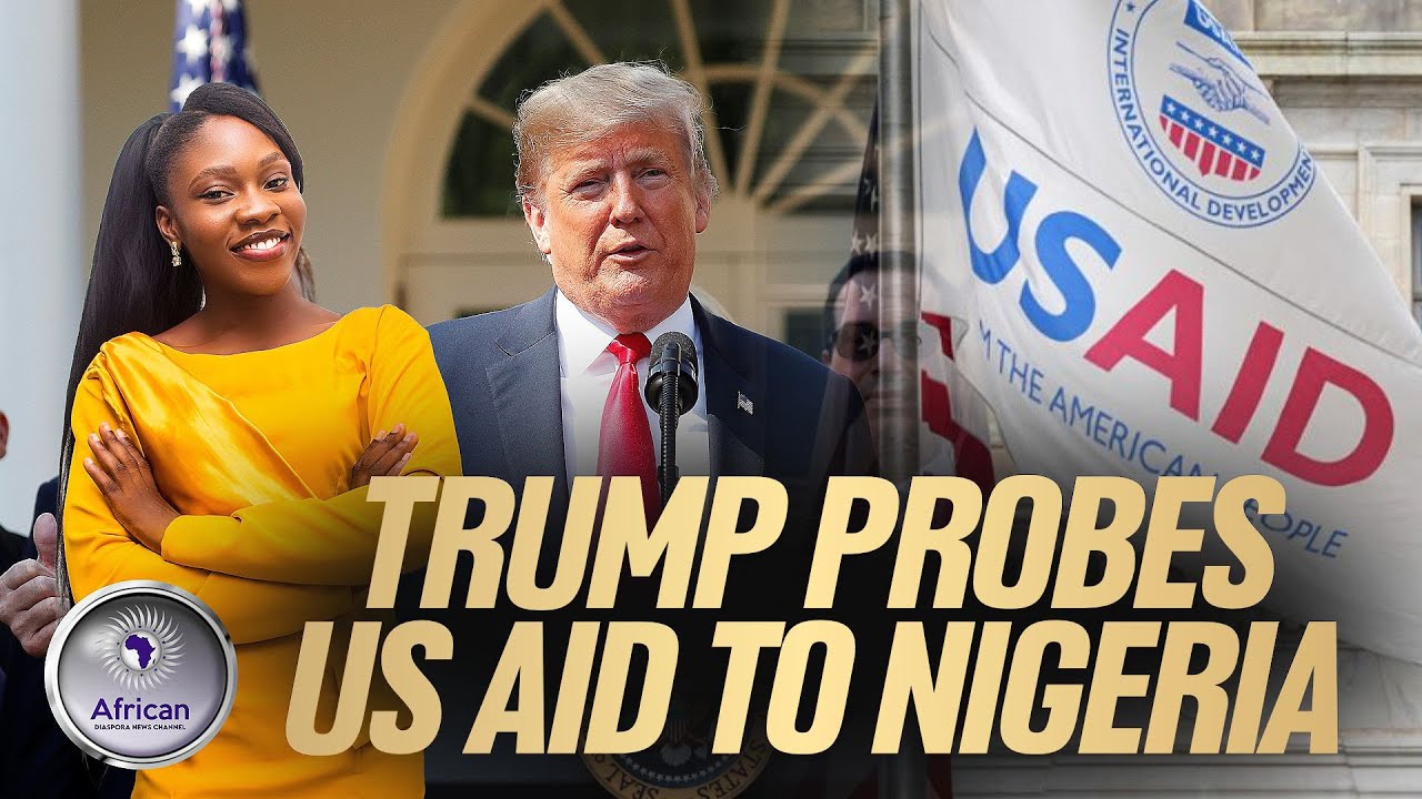 African diaspora news channel Archives - African Diaspora News Channel